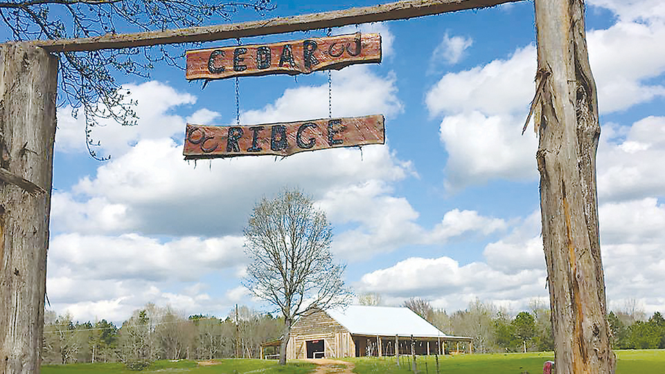 Cedar Ridge: A place of new beginnings | Daily Leader