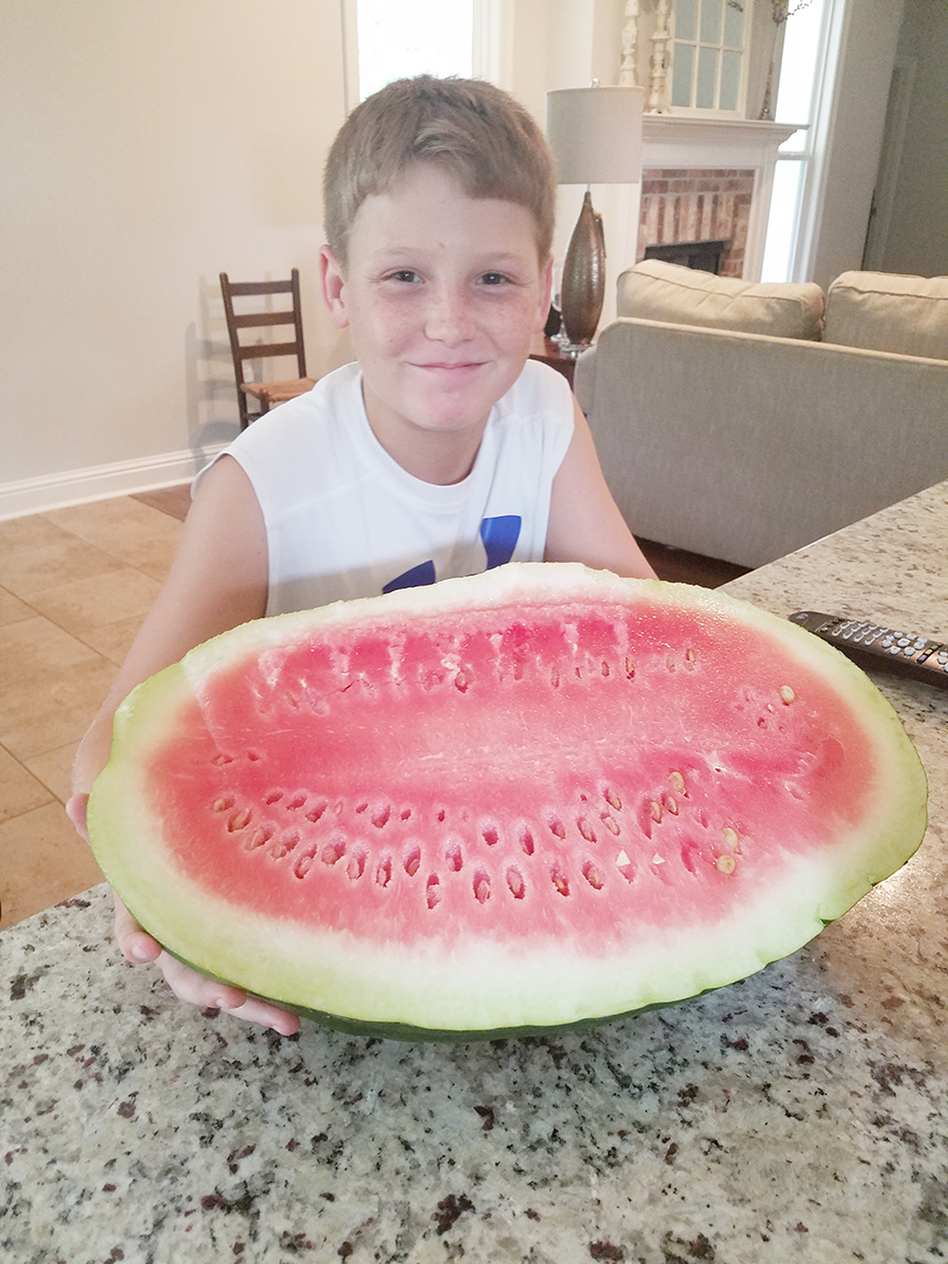 Young gardener grows watermelon half his size - Daily Leader | Daily Leader