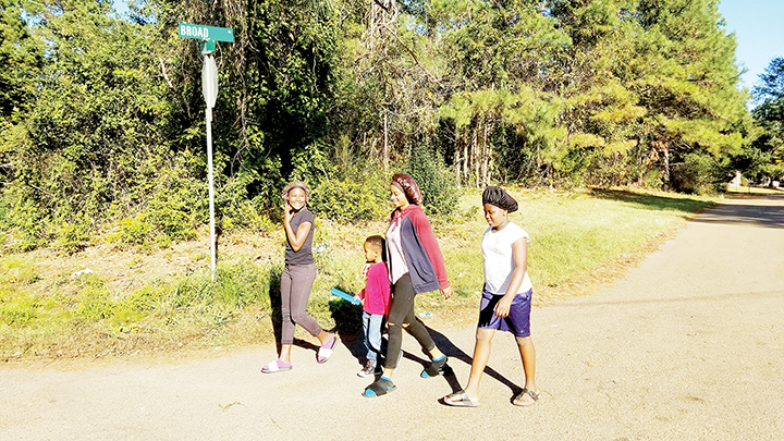 Ready to sprout — Phase 1 of Brignall park project will cost $75,000 ...