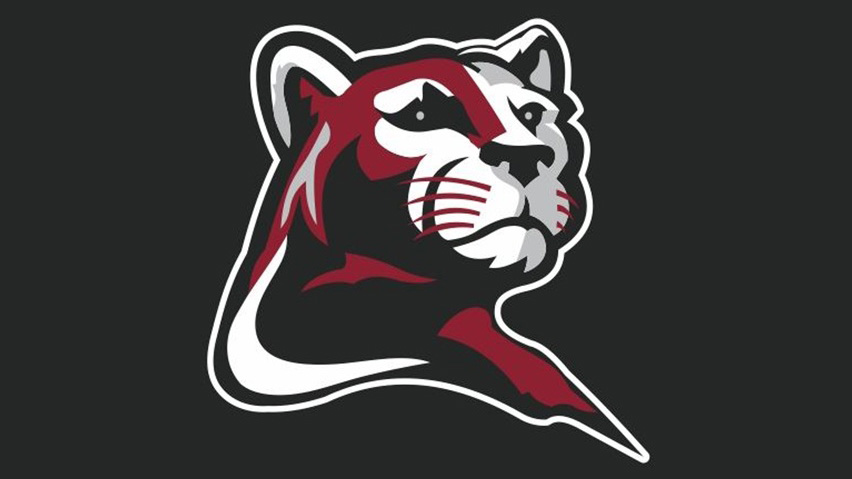Lawrence County Cougars taking on Forrest County Aggies - Daily Leader ...