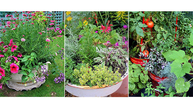 Felder Rushing: When it comes to planters, sometimes the wackier the ...