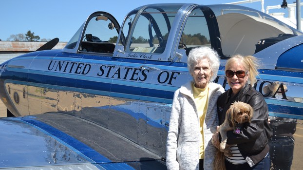 It's a dog's life in the air for pilot's pooch - Daily Leader | Daily ...