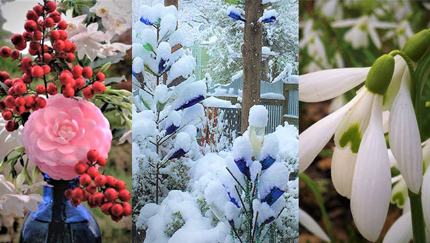 Felder Rushing: You don’t need to know Zodiac to have gardening success ...