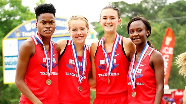 Lady Panthers are 5A state runners-up - Daily Leader | Daily Leader