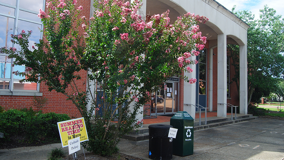 Summer reading program continues at Lincoln County Public Library ...