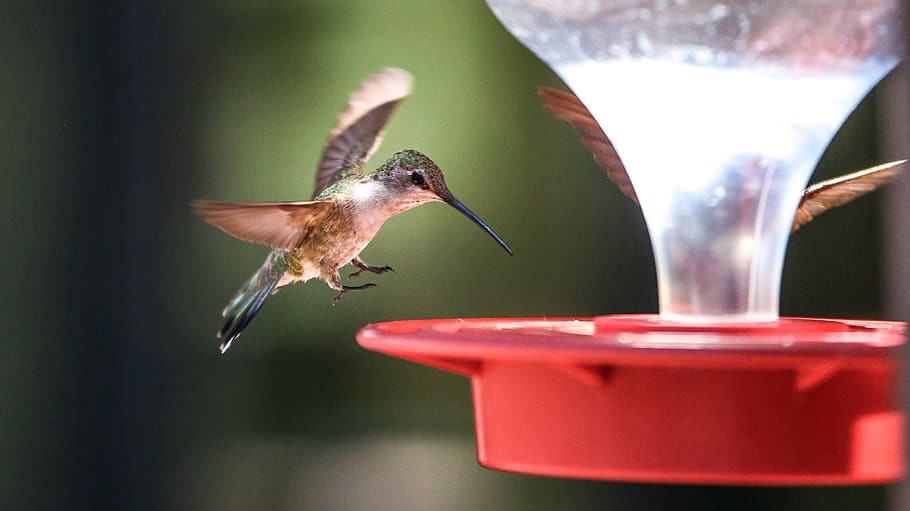 We had one humdinger of a Labor Day - Daily Leader | Daily Leader