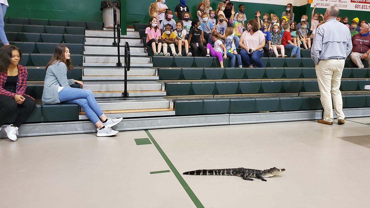 Young alligator visits with West Lincoln elementary students | Daily Leader