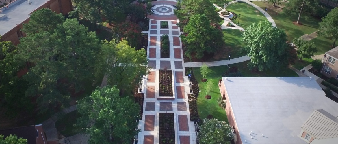 Co-Lin a 2021 'Great College to Work For' - Daily Leader | Daily Leader