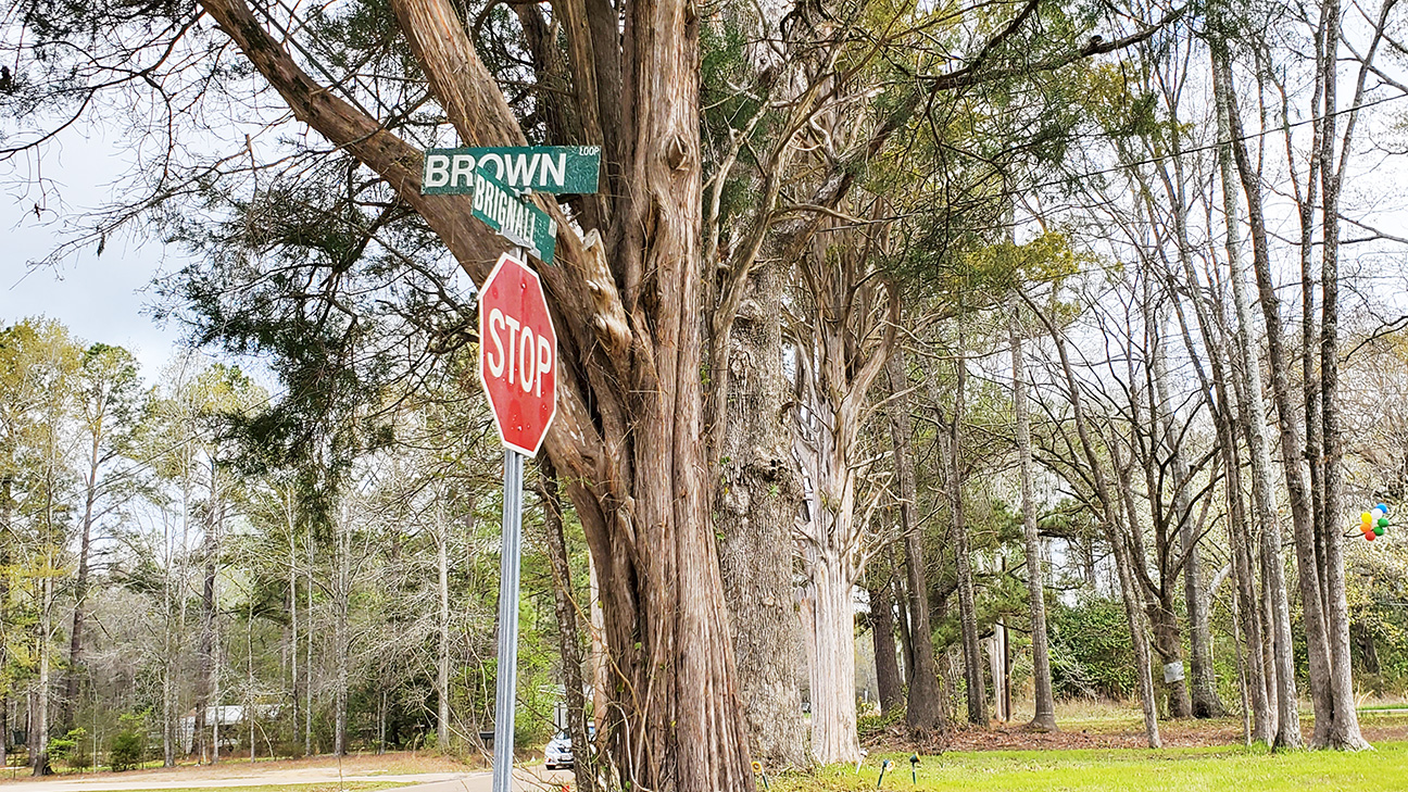 Brown Loop may get sewer service soon - Daily Leader | Daily Leader