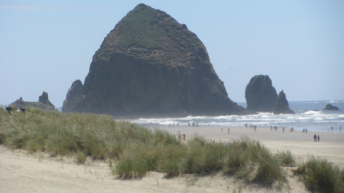 What shape are you in? | Daily Leader