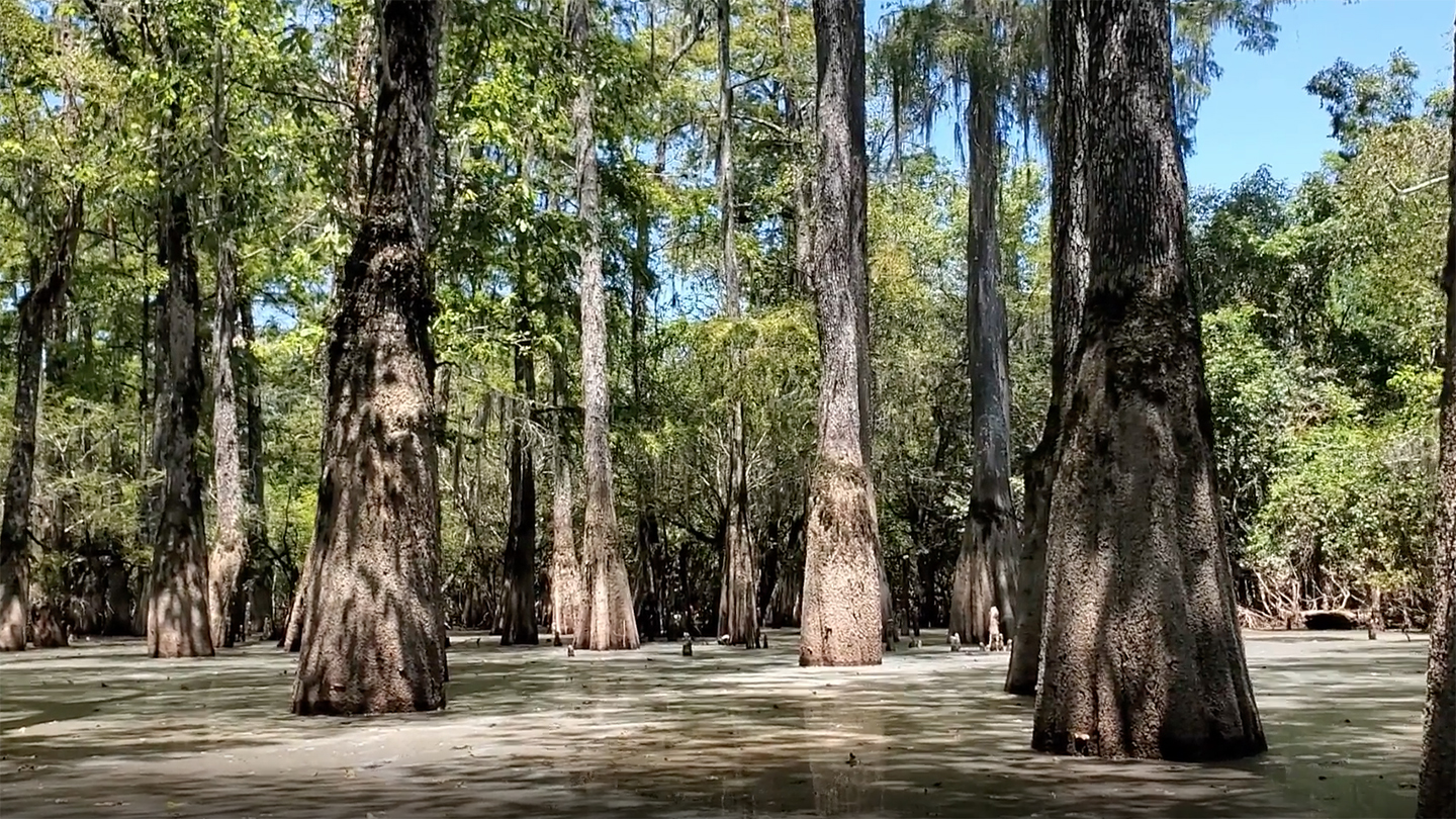 One Lake project ‘not justified,’ in Pearl River Flood Risk Mitigation ...