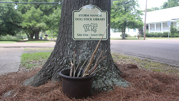 Your furry friend can punch a library card at Brookhaven’s new dog ...