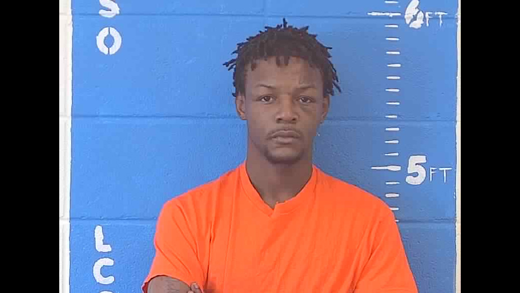 ‘Not a stranger to crime’: Brookhaven man charged with drive-by ...