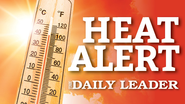 Beat the heat while limiting stress on A/C units | Daily Leader