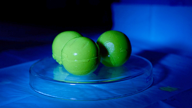 Newly patented toxic hog bait to be featured in MDWFP meeting | Daily ...