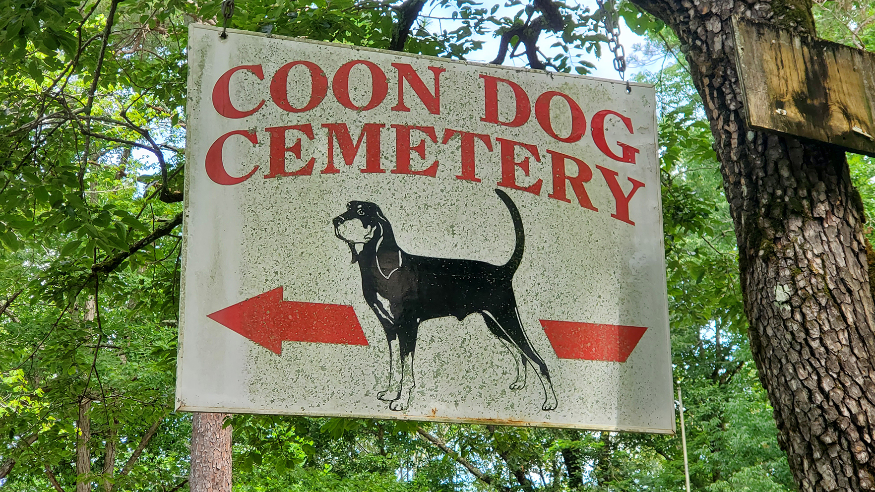 A visit to the Coon Dog Cemetery | Daily Leader