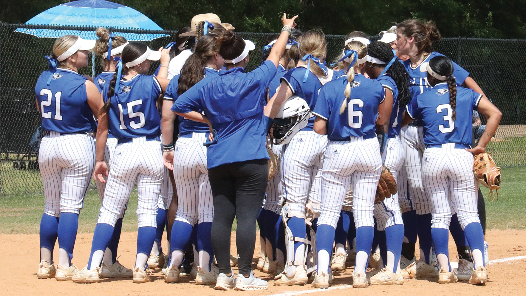 Co-Lin softball pounds out the hits in home wins over Southwest | Daily ...