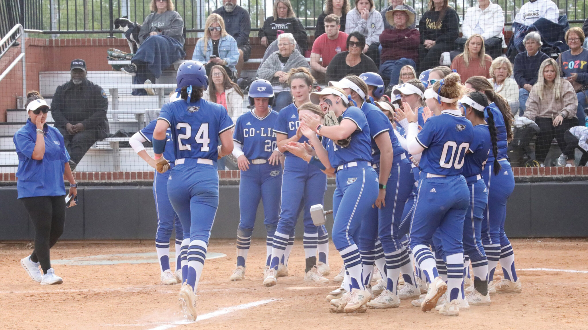 Co-Lin has a couple of big-time softball fans at my house - Daily ...