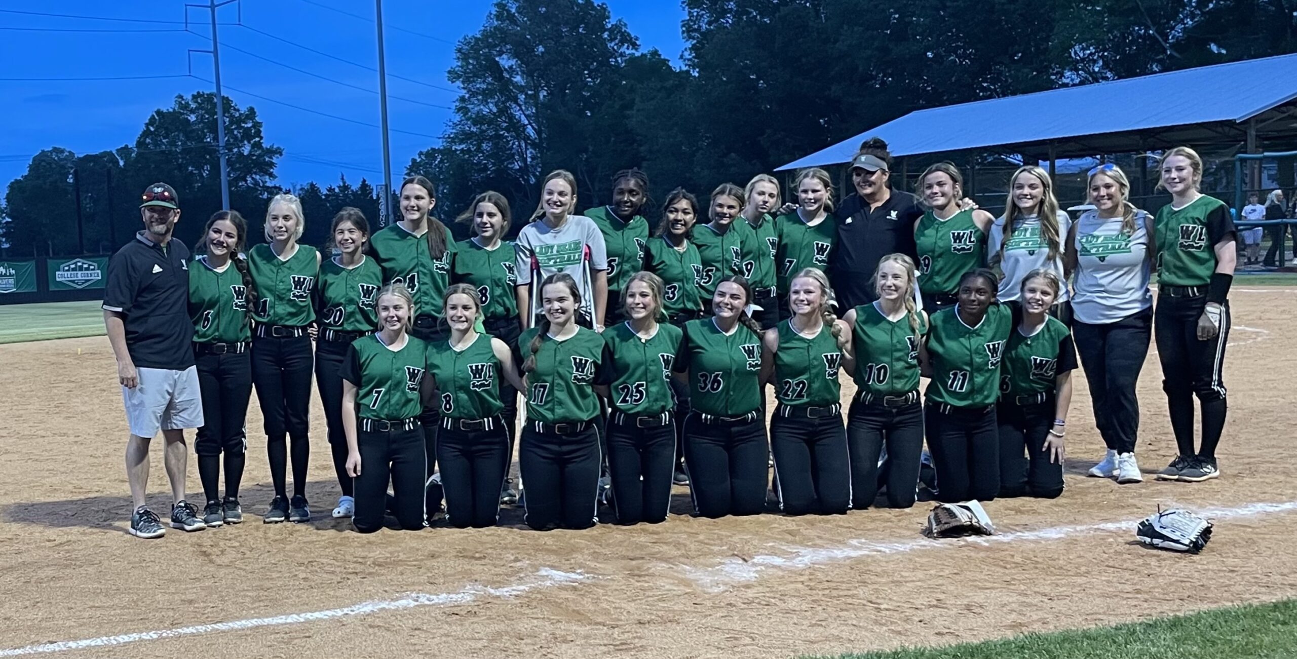 Area softball playoff roundup: West Lincoln gets big road win, Puckett ...